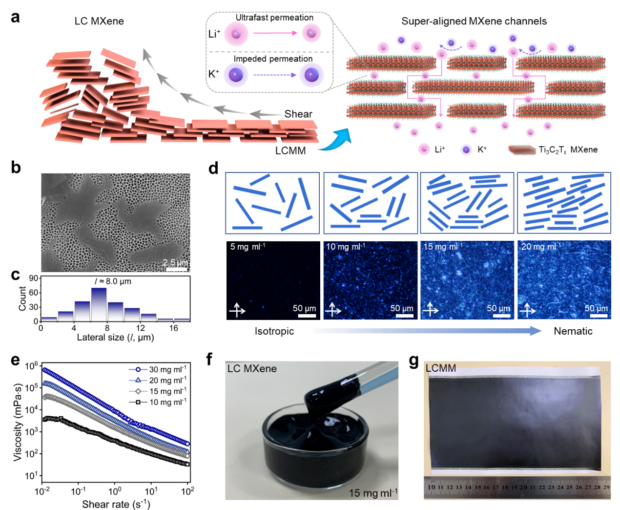 【清华大学王海辉/丁力团队最新Angew】MXene液晶剪切诱导的分离膜用于单价离子筛分-清华大学化学工程系膜技术与工程研究中心清华大学膜材料与工程北京市重点实验室